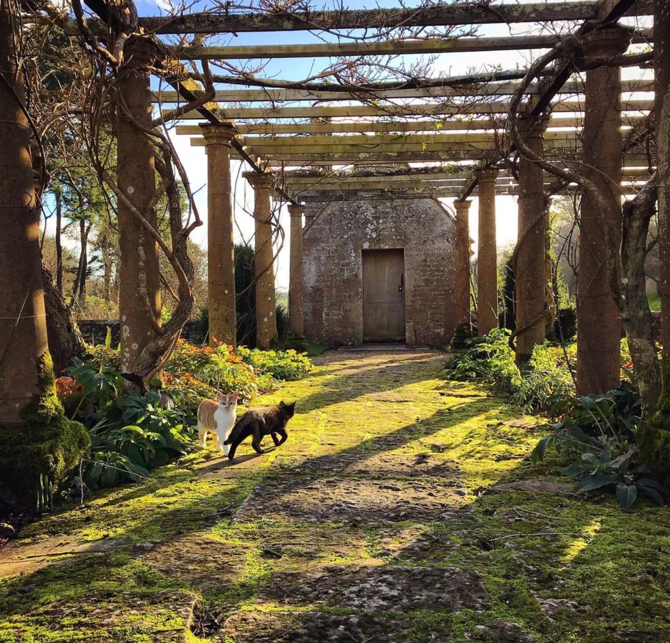 Autumn Magic at Mapperton with a spell-binding Halloween Trail ...