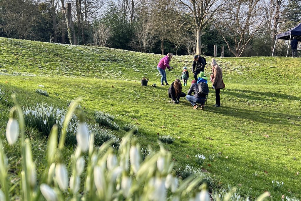 Snowdrops and Outdoor Family Fun at Burghley This February Half Term ...